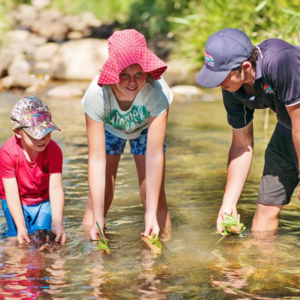 Mt Barney is an official Nature Play provider! - Mt Barney Lodge